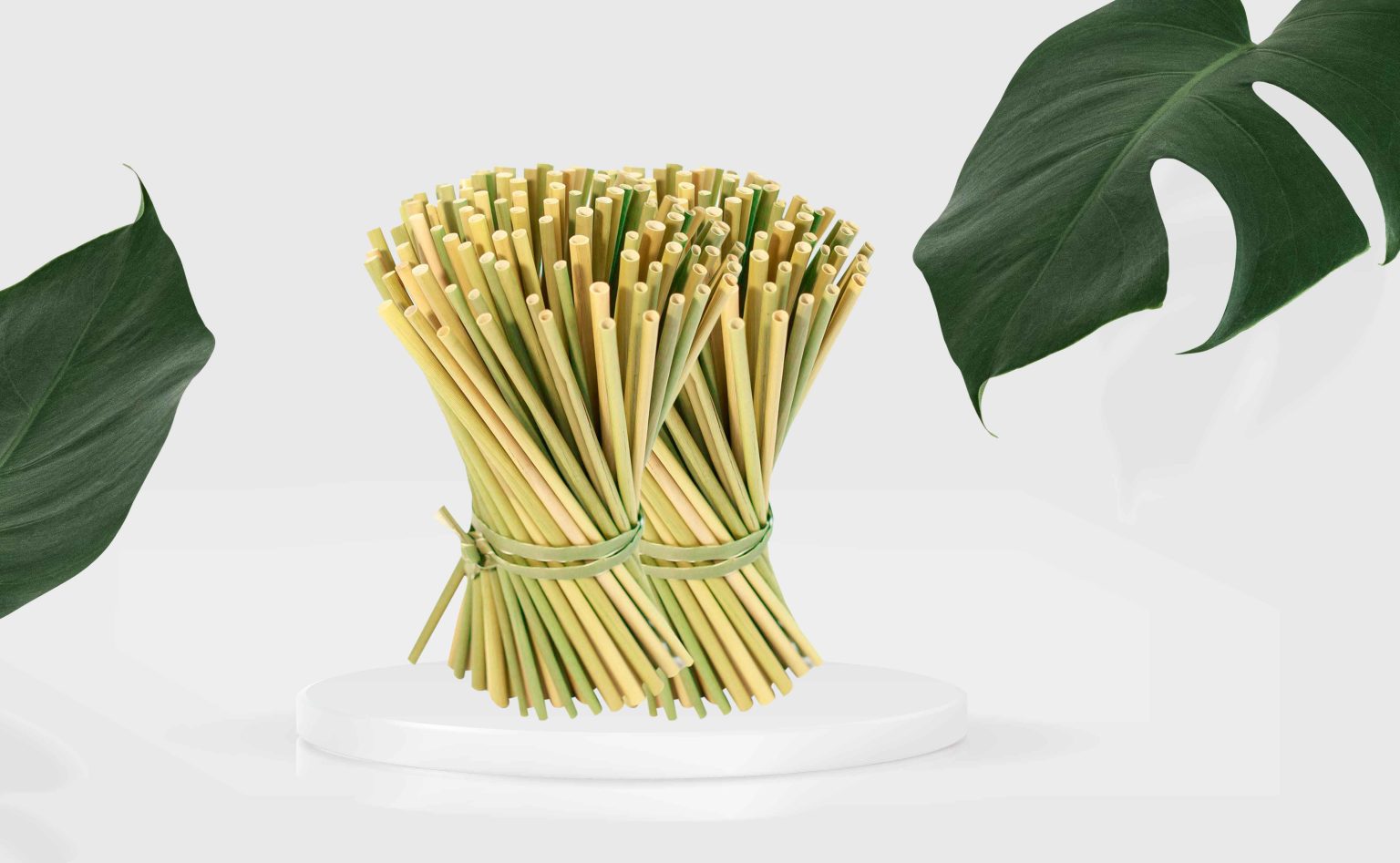 Pemanfaatan Rumput Purun Menjadi Sedotan Ramah Lingkungan | Krajan